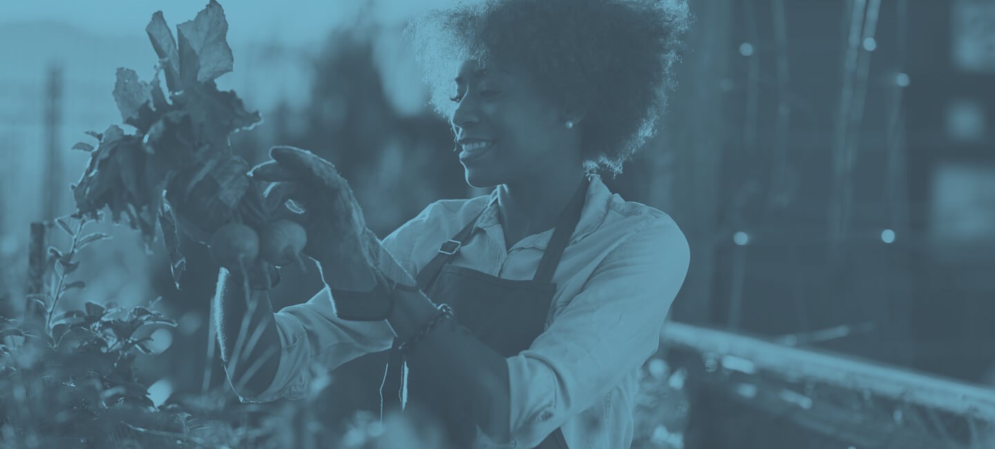 Sasfin | beyond a bank